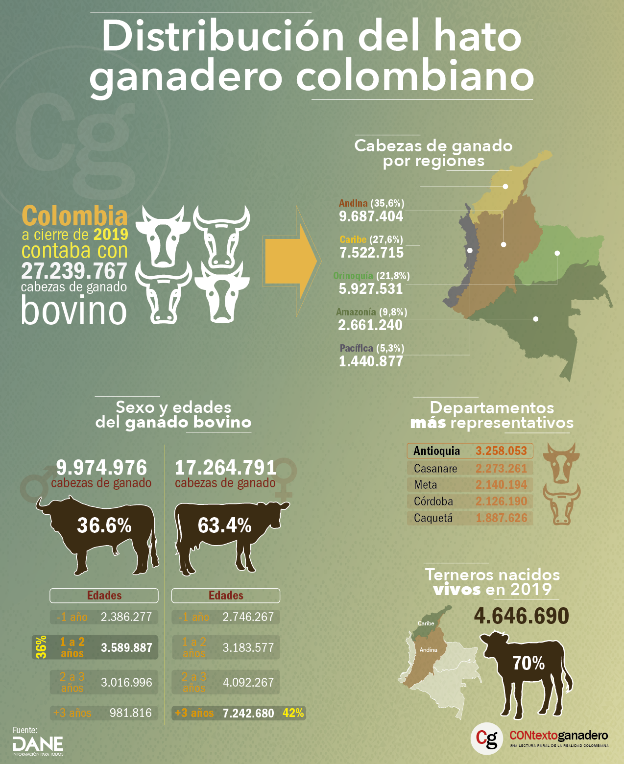 Conozca cómo está distribuido el hato ganadero del país | CONtexto ganadero